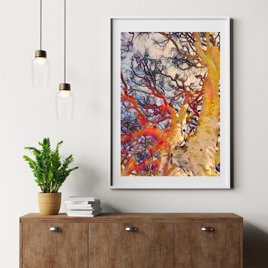 Jimi Zen Photography